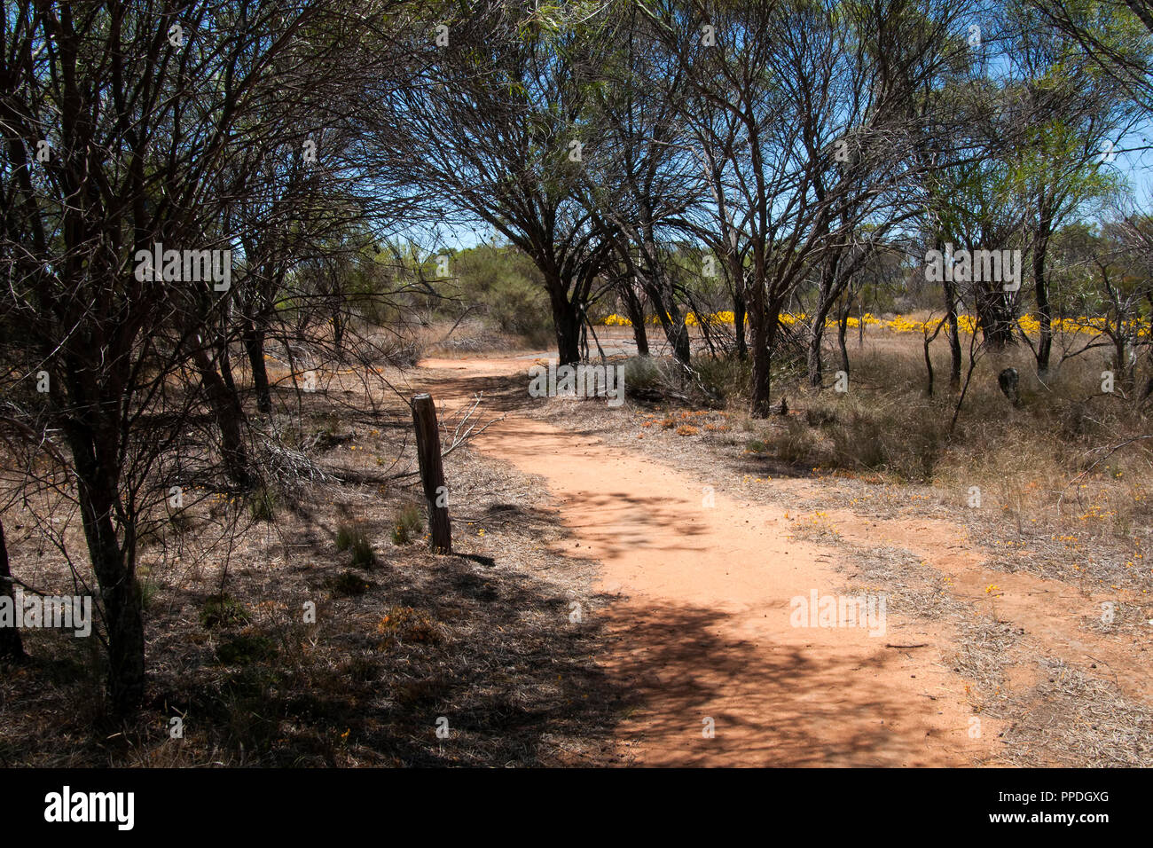 Hyden Australia, walking path on the Gnamma Trail Stock Photo - Alamy