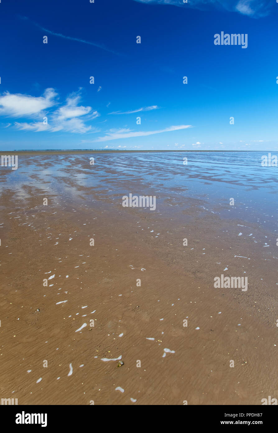 Danish wadden sea national park Stock Photo - Alamy