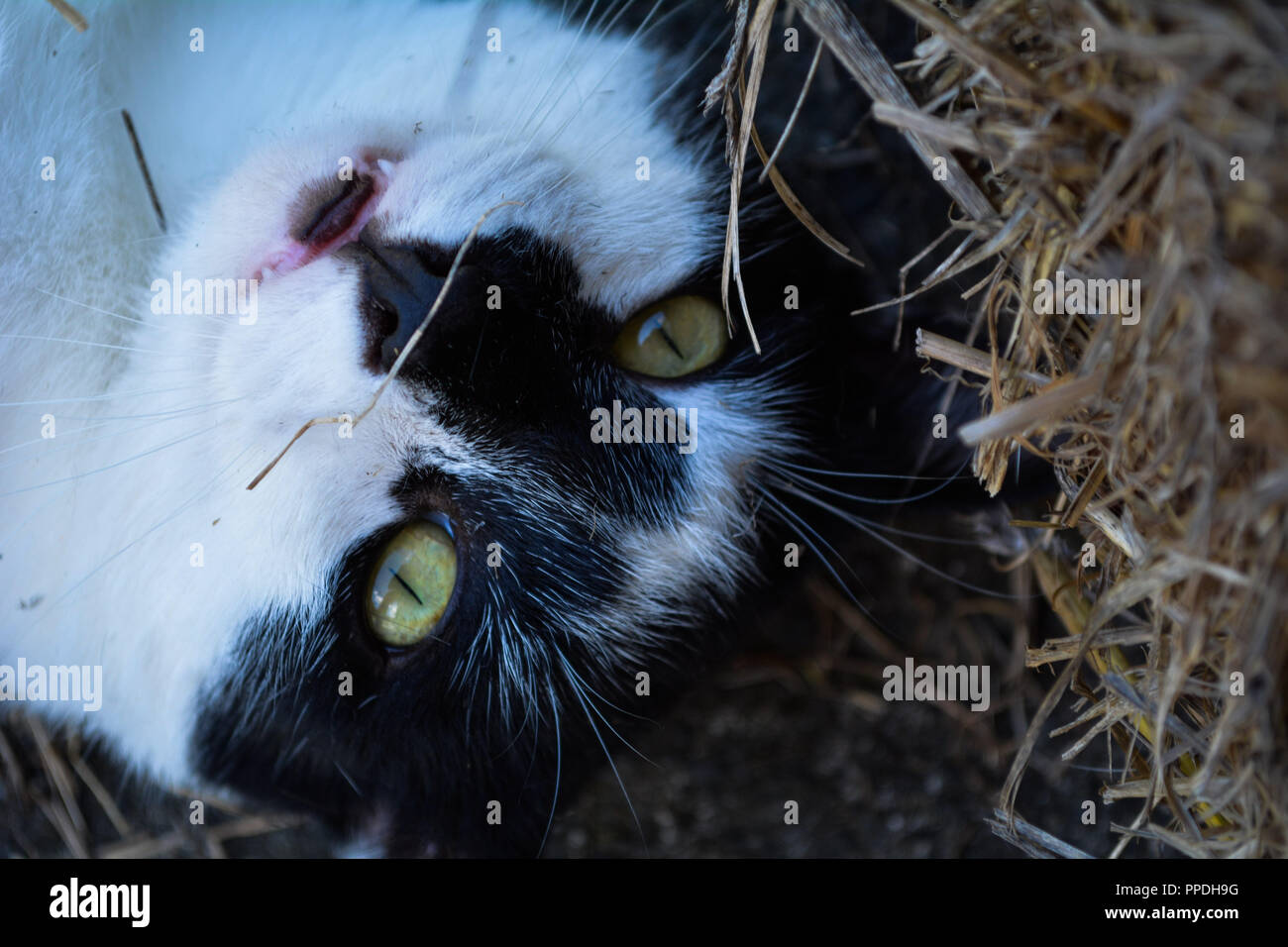 Nothing better than having a cute little friend follow you around on ...