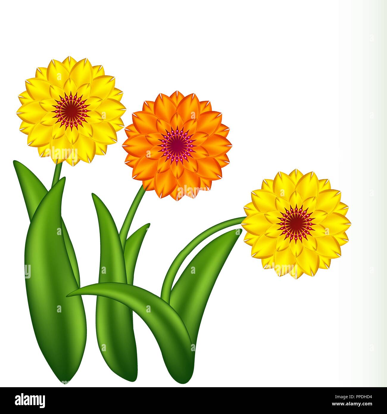 Vector illustration of sunny flowers. Gradient meshes Stock Vector ...