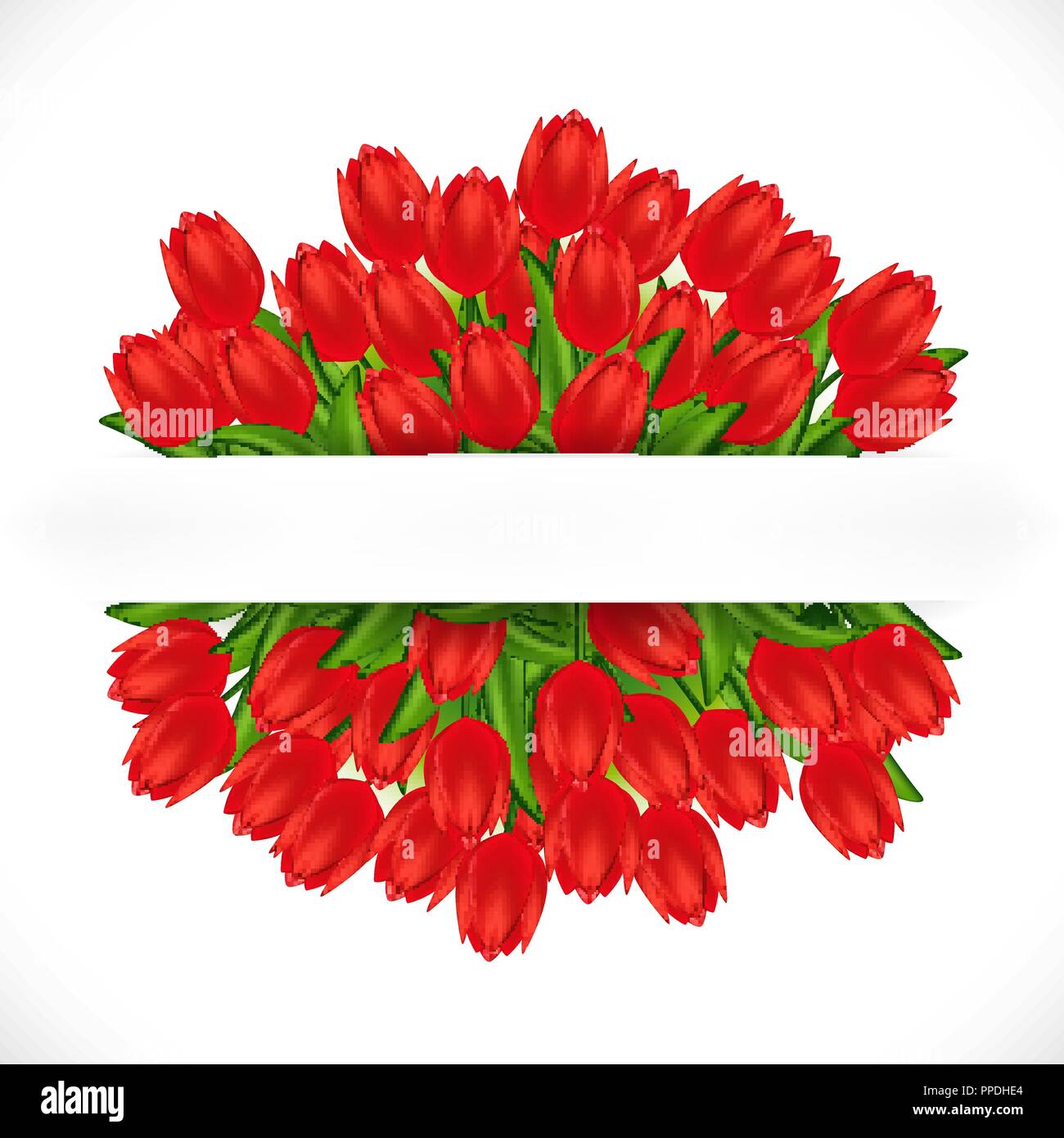 Vector illustration of red tulips. Gradient meshes Stock Vector Image ...