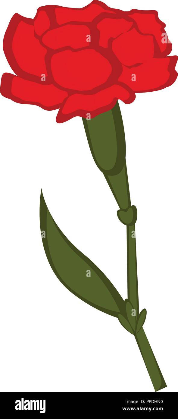 Isolated carnation flower icon Stock Vector Image & Art - Alamy