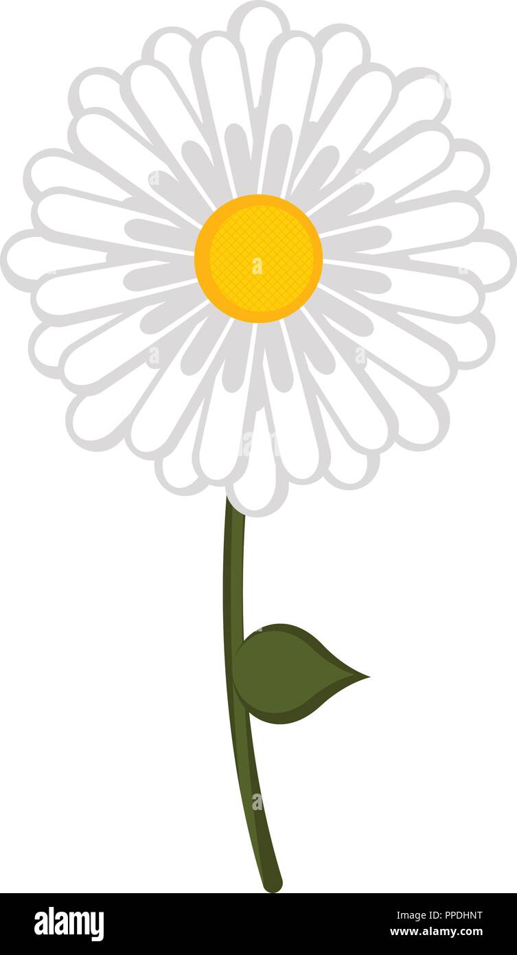 Daisies isolated Stock Vector Images - Alamy