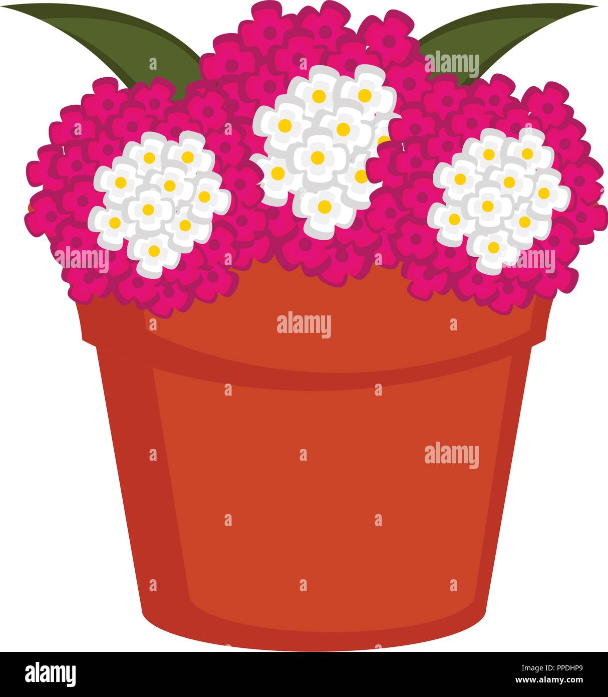Garden verbena Stock Vector Images - Alamy
