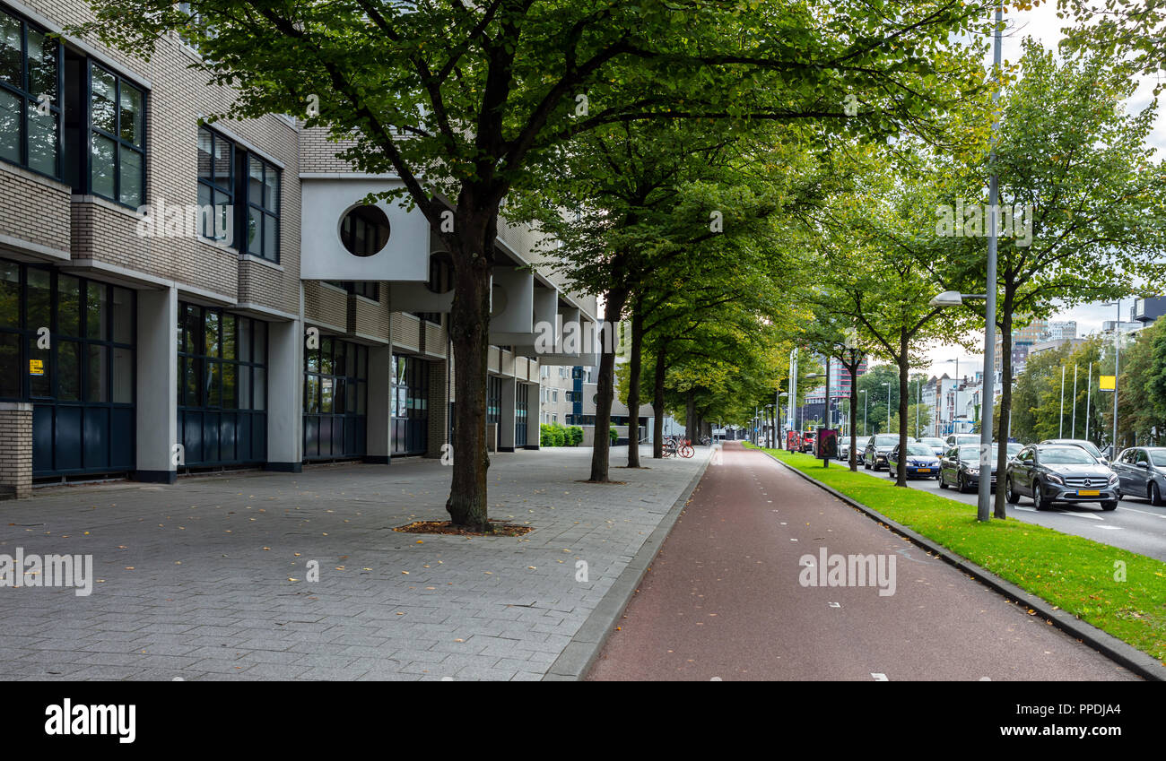 Bike and traffic lanes, sidewalk for pedestrian with trees.Traffic in ...