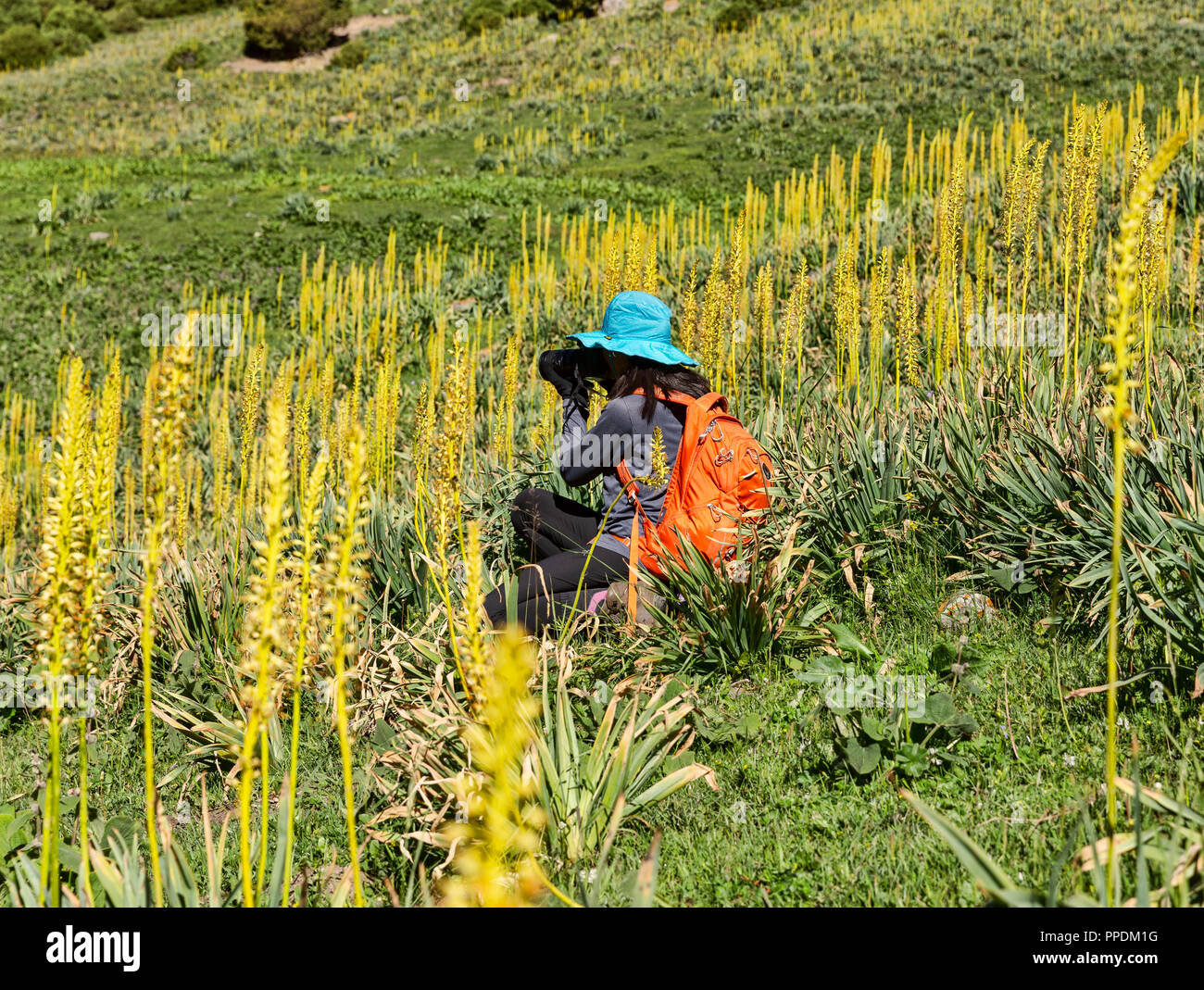 Heights of alay circuit hi-res stock photography and images - Alamy