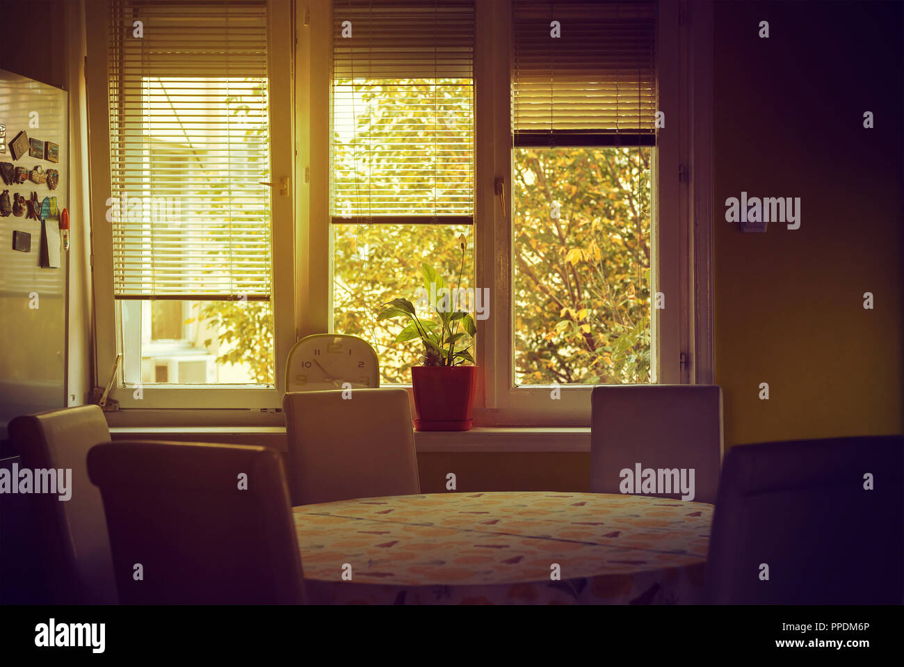 Dinning empty food space hi-res stock photography and images - Alamy