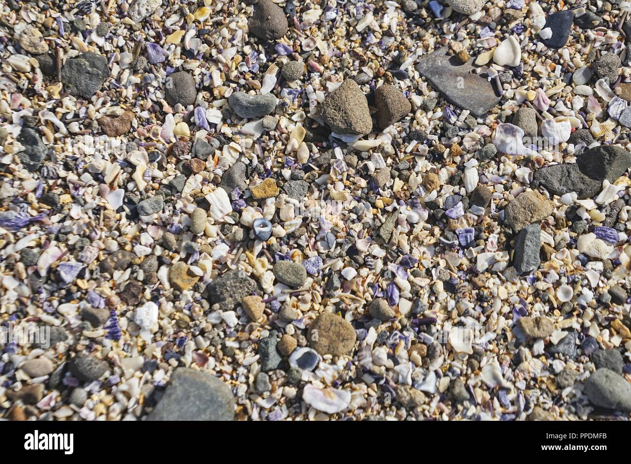 Collection of colorful shell grit and peebles, closeup Stock Photo - Alamy
