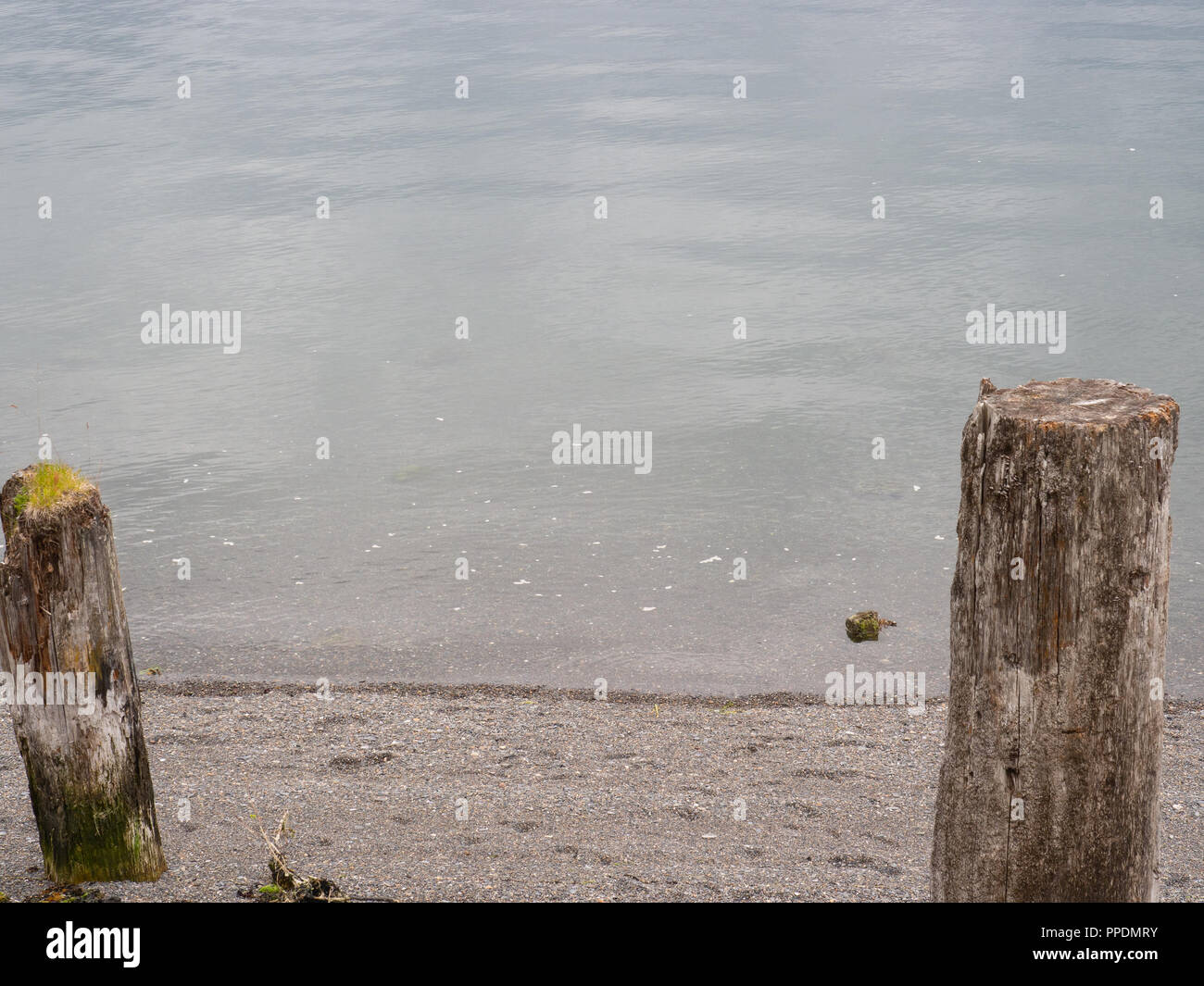 Old Wharf Piles On A Beach Stock Photo - Alamy