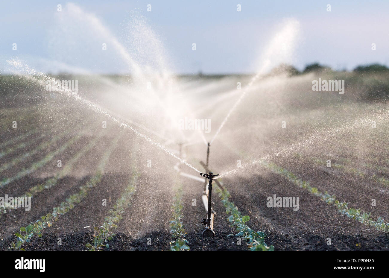 Irrigation system in function at field Stock Photo - Alamy