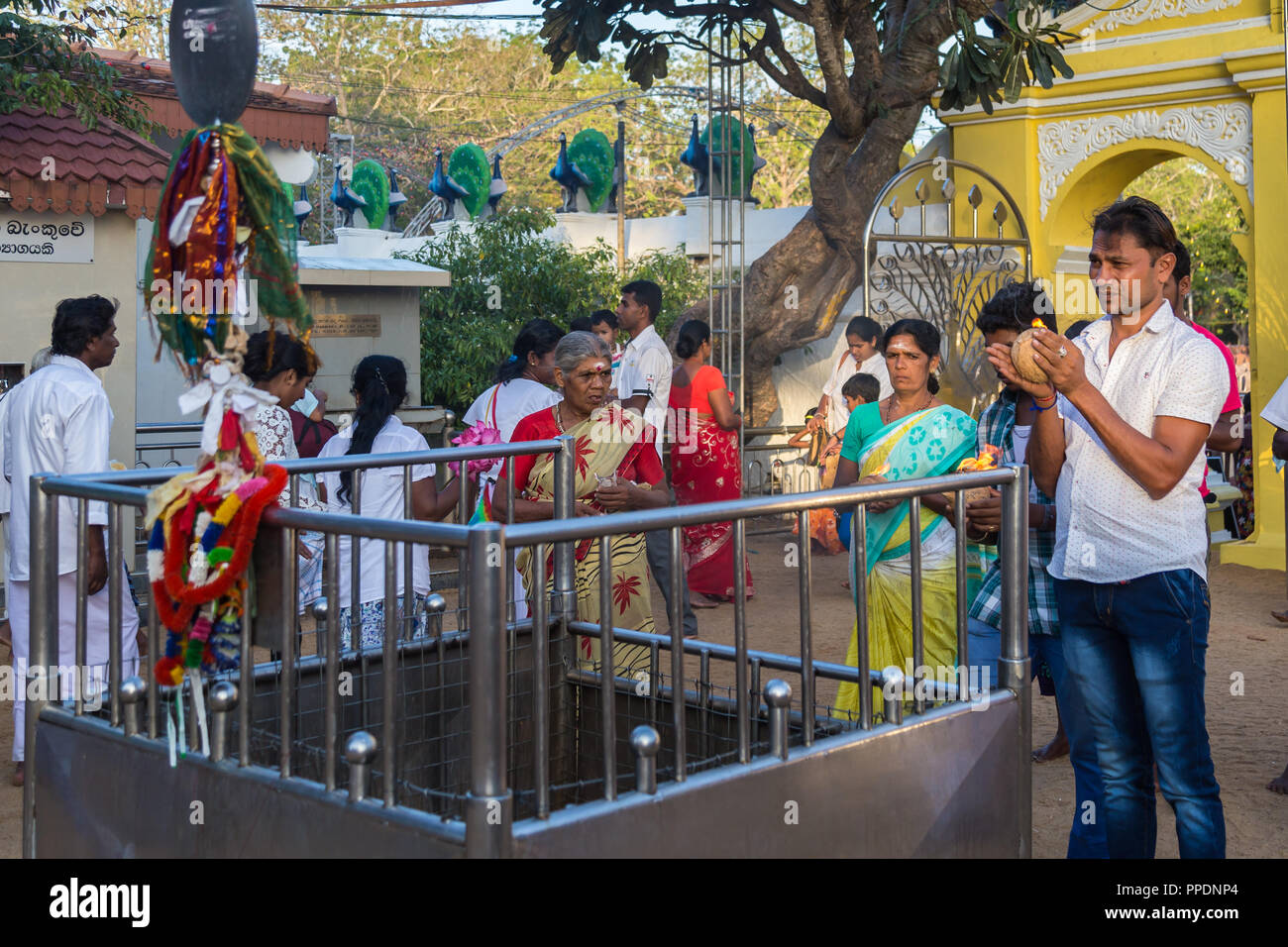Bandarawela Sri Lanka August 02 2017 - Hindu ritual breaking coconuts ...