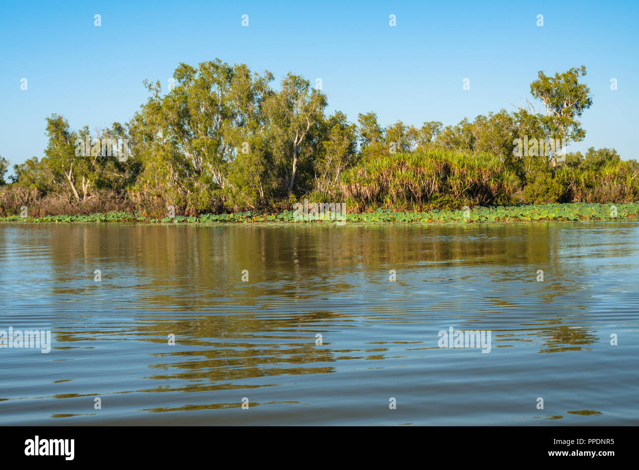 Mary River Wetlands, Katherine, Nothern Territory, Australia Stock ...