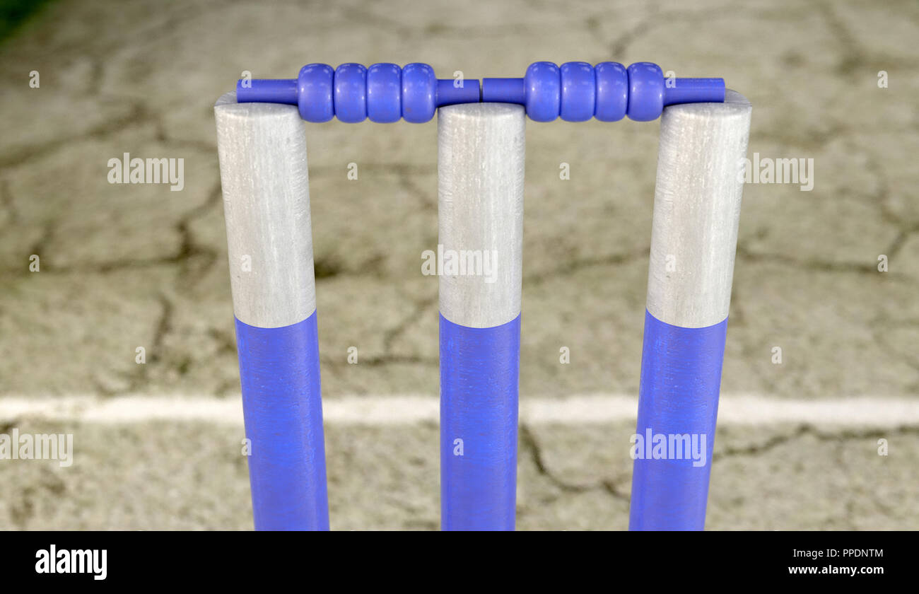 A set of blue cricket wickets on a cracked grass pitch background - 3D ...
