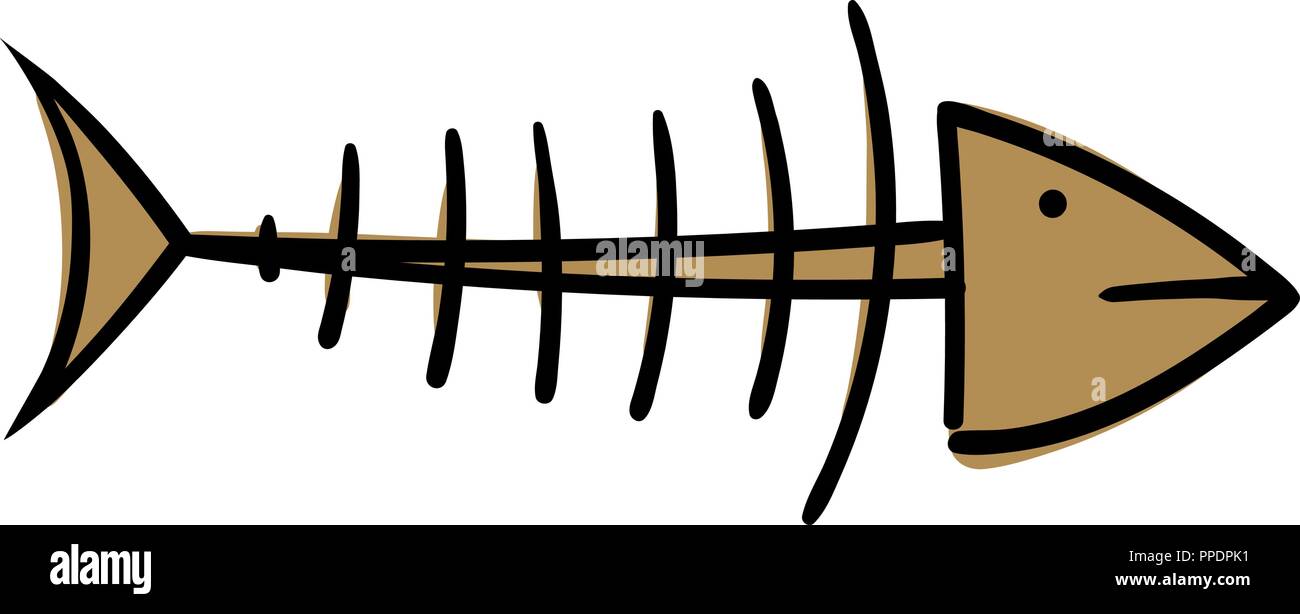 simple skeleton of fish with bones isolated on white background Stock ...