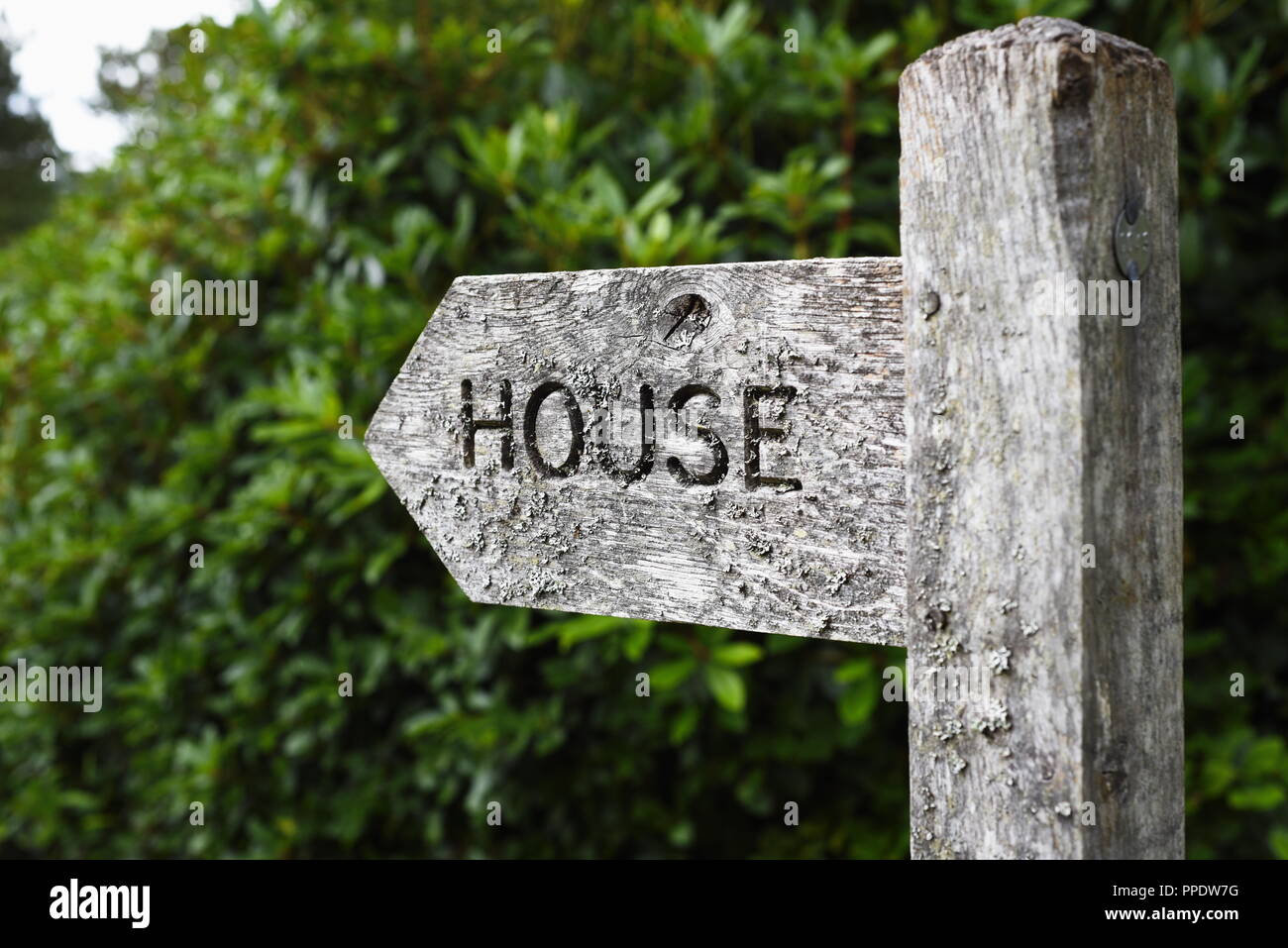 House direction sign, made from wood against a green bush. Concept of ...