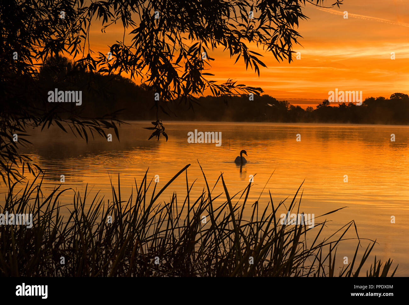 Sunrise on the lake at Colwick Country Park in Nottingham ...