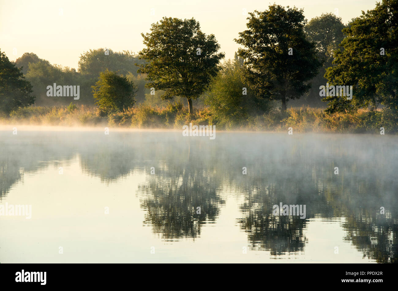 Misty morning at Colwick Country Park in Nottingham, Nottinghamshire ...