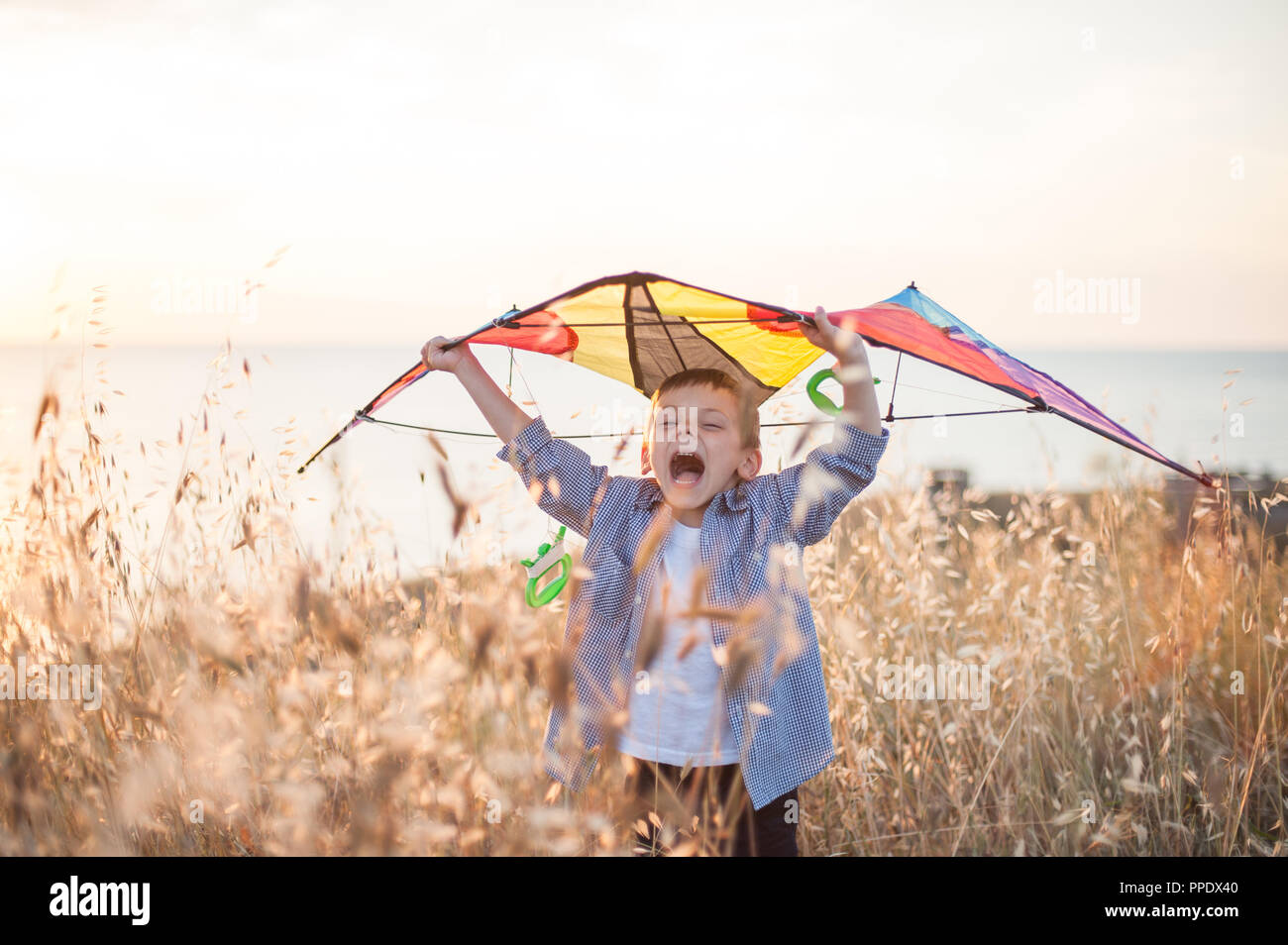 happy delightful small kid with colorful kite in outdoors leisure field ...
