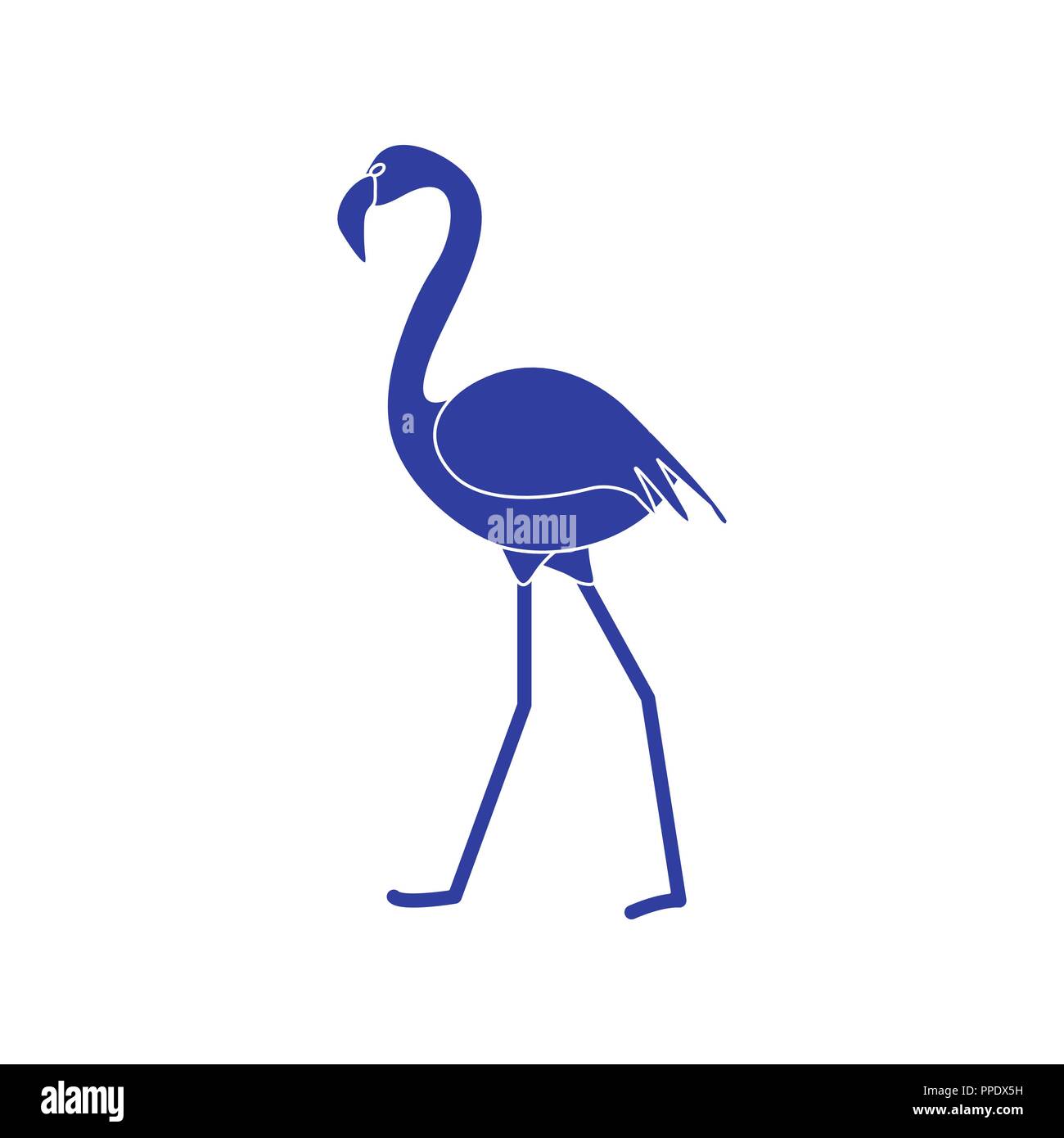 Vector illustration with Flamingo bird. Design for poster or print ...
