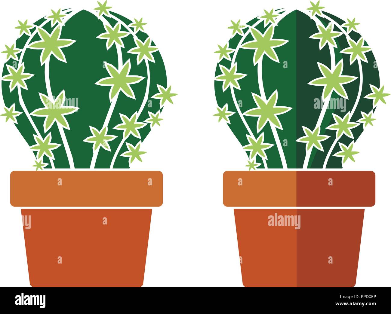 simple decorative room cactus in a ceramic pot isolated on a white ...