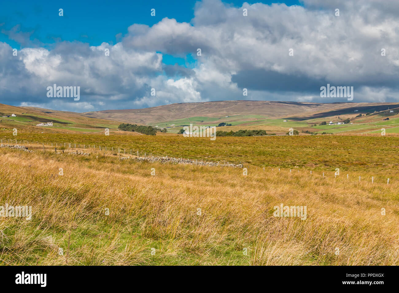 North Pennines AONB Landscape, whitewashed hill farms in Harwood, Upper ...