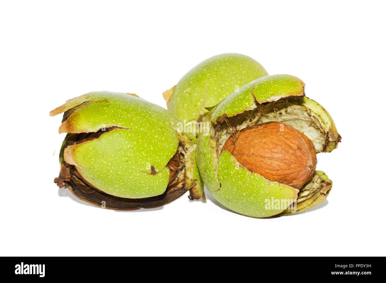 Pod like fruit hi-res stock photography and images - Alamy