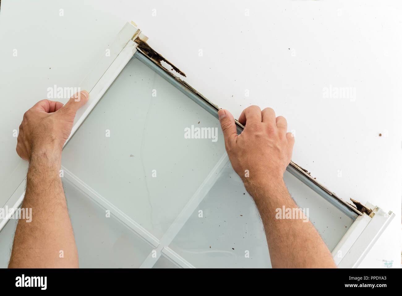 Homeowner replacing a damaged window frame in preparation for winter ...