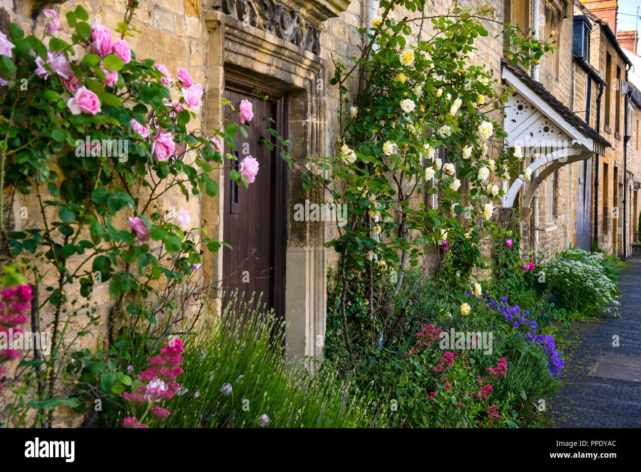 Major moreton hi-res stock photography and images - Alamy