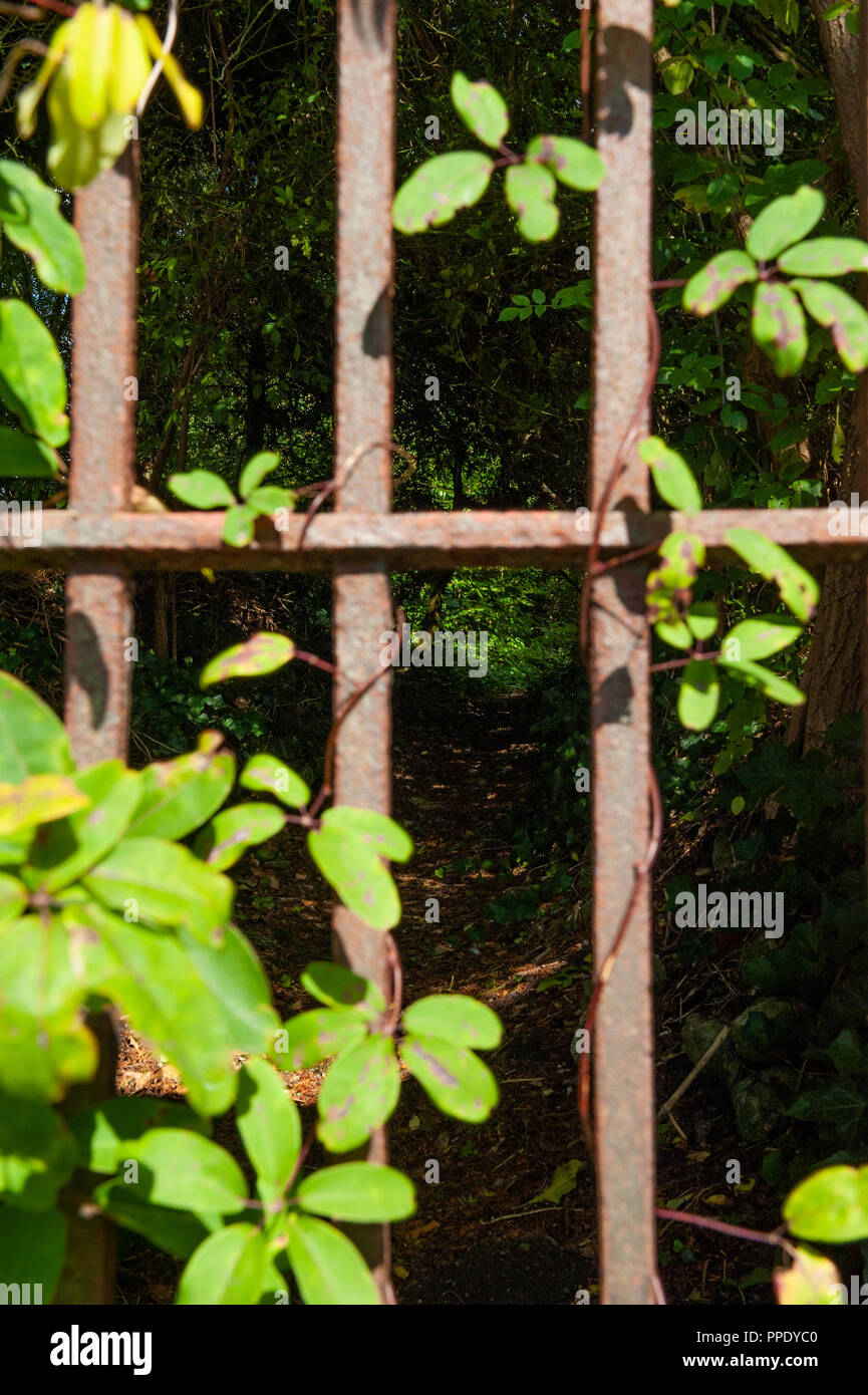 View through an iron gate to dappled light falling on a secret path ...
