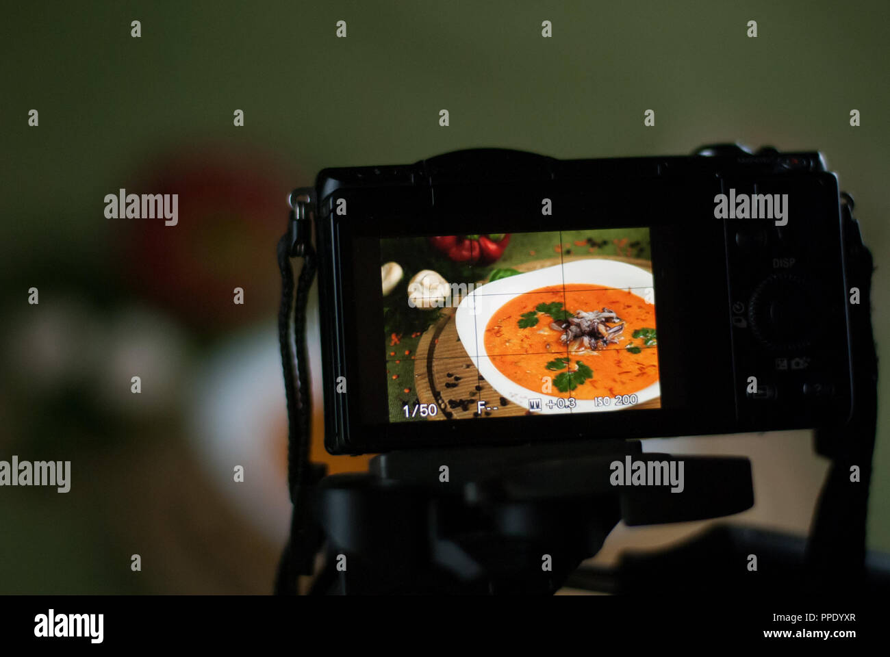 Backstage of shooting food in a restaurant. Live view on the camera ...