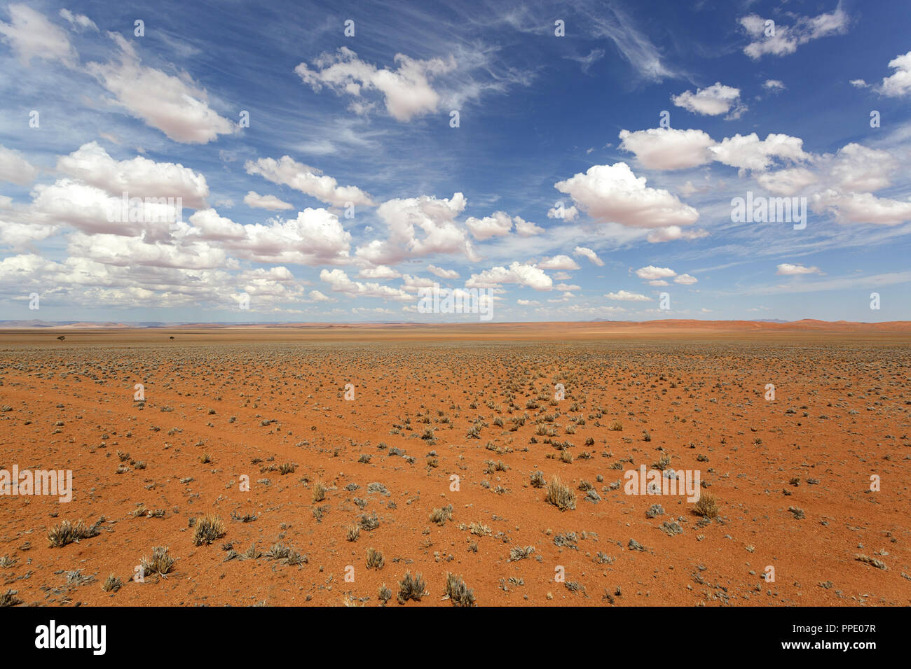 A wide open desert landscape Stock Photo - Alamy A wide open desert landscape Stock Photo - Alamy
