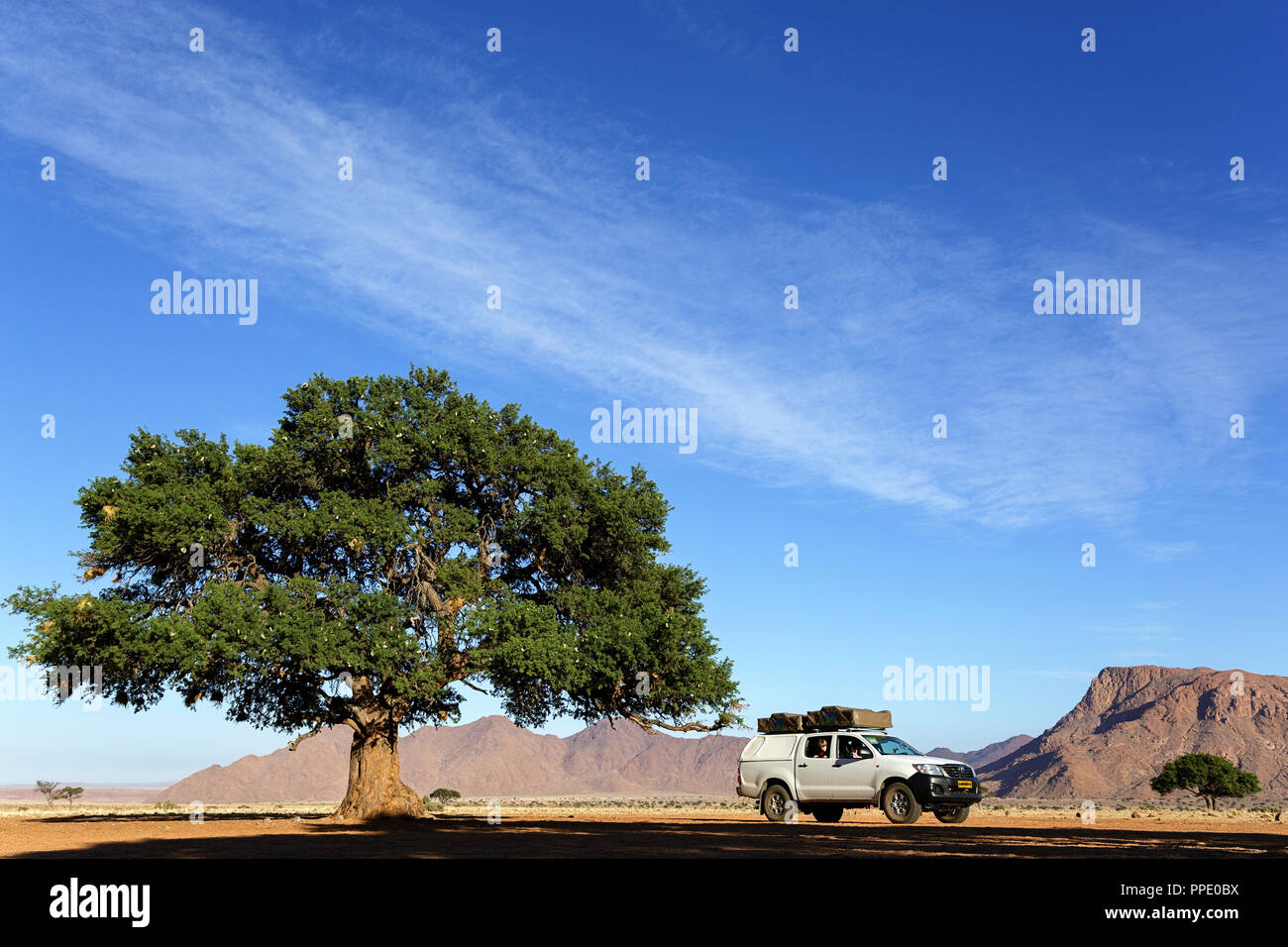 Car parked under tree hi-res stock photography and images - Alamy