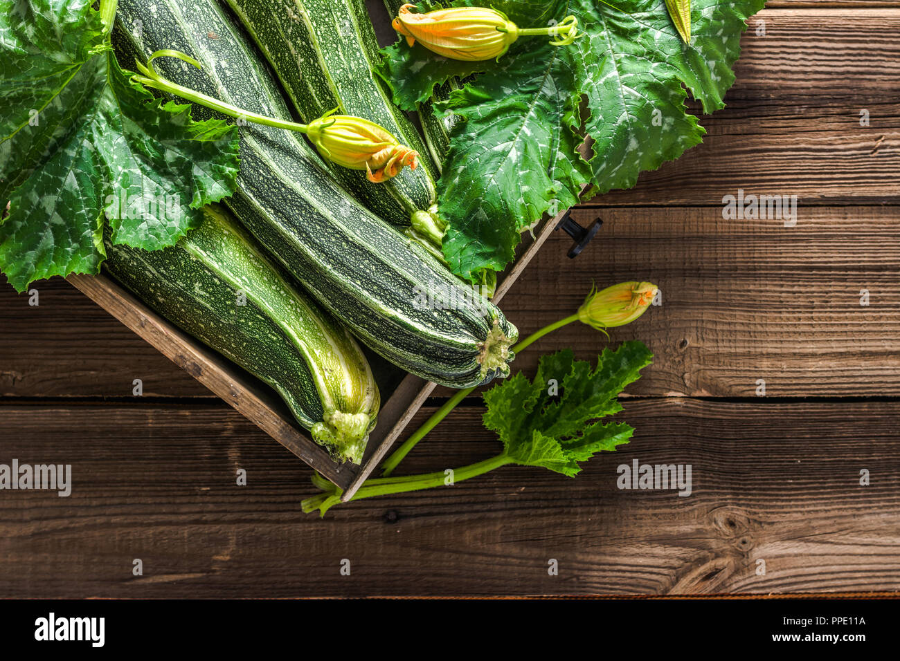 Green courgette. Fresh farm vegetables on farmer market, vegetable ...