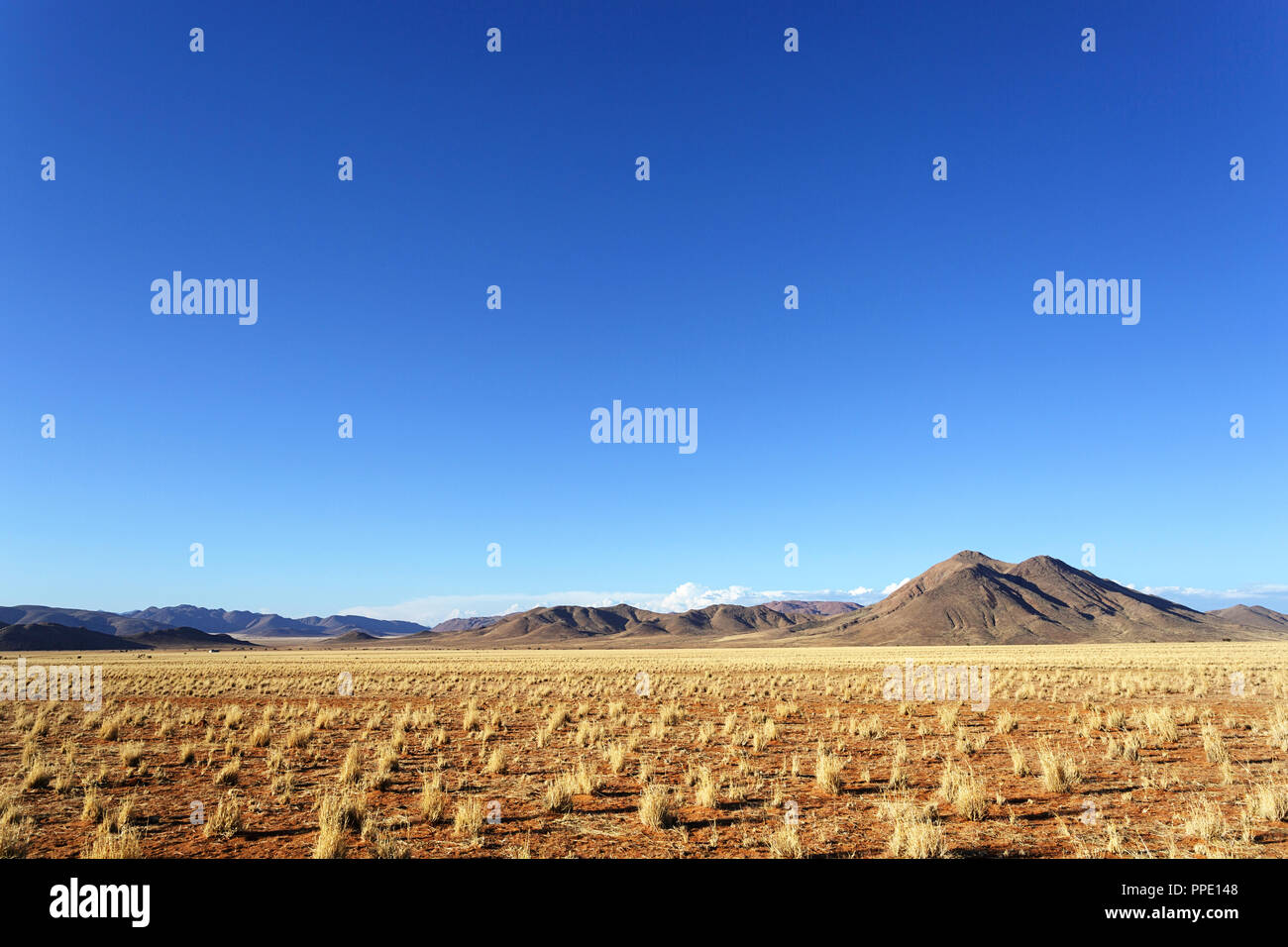 Deserted savanna hi-res stock photography and images - Alamy