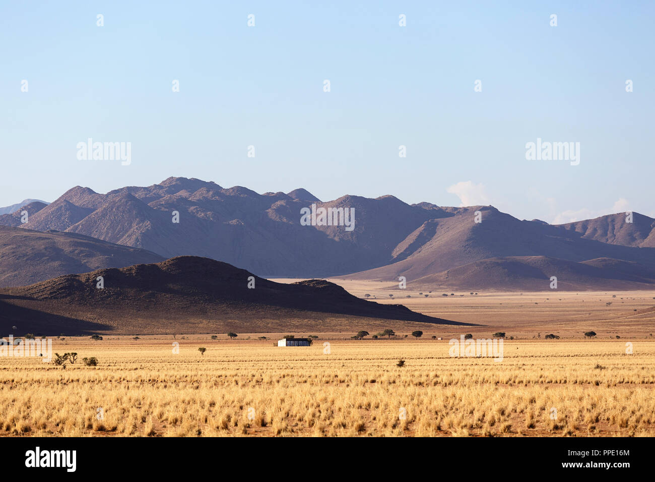 Open desert hi-res stock photography and images - Alamy