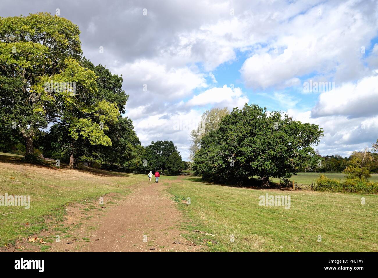 Blue sky with clouds and walking path hi-res stock photography and ...