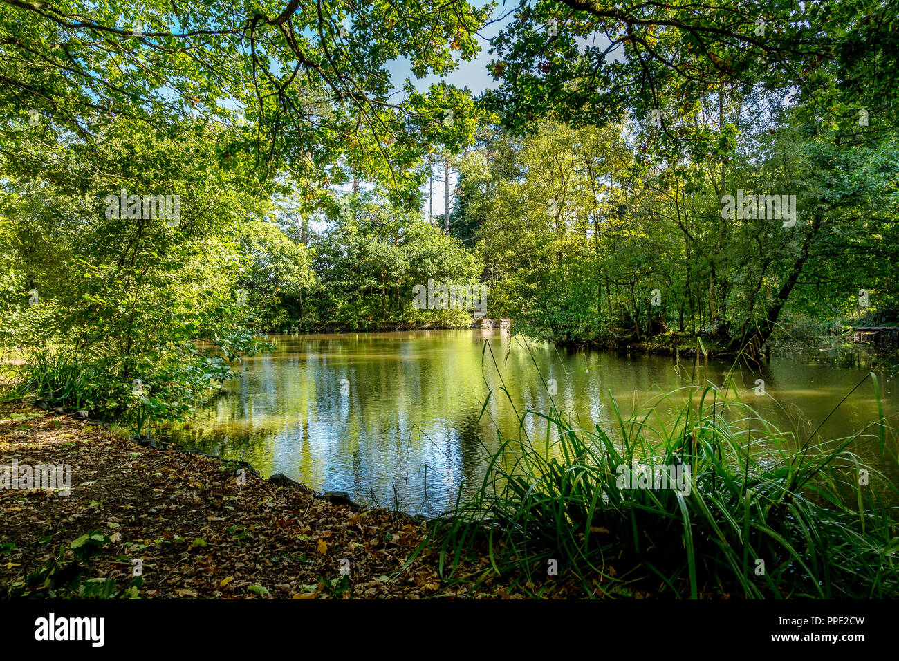 Southcrest hi-res stock photography and images - Alamy