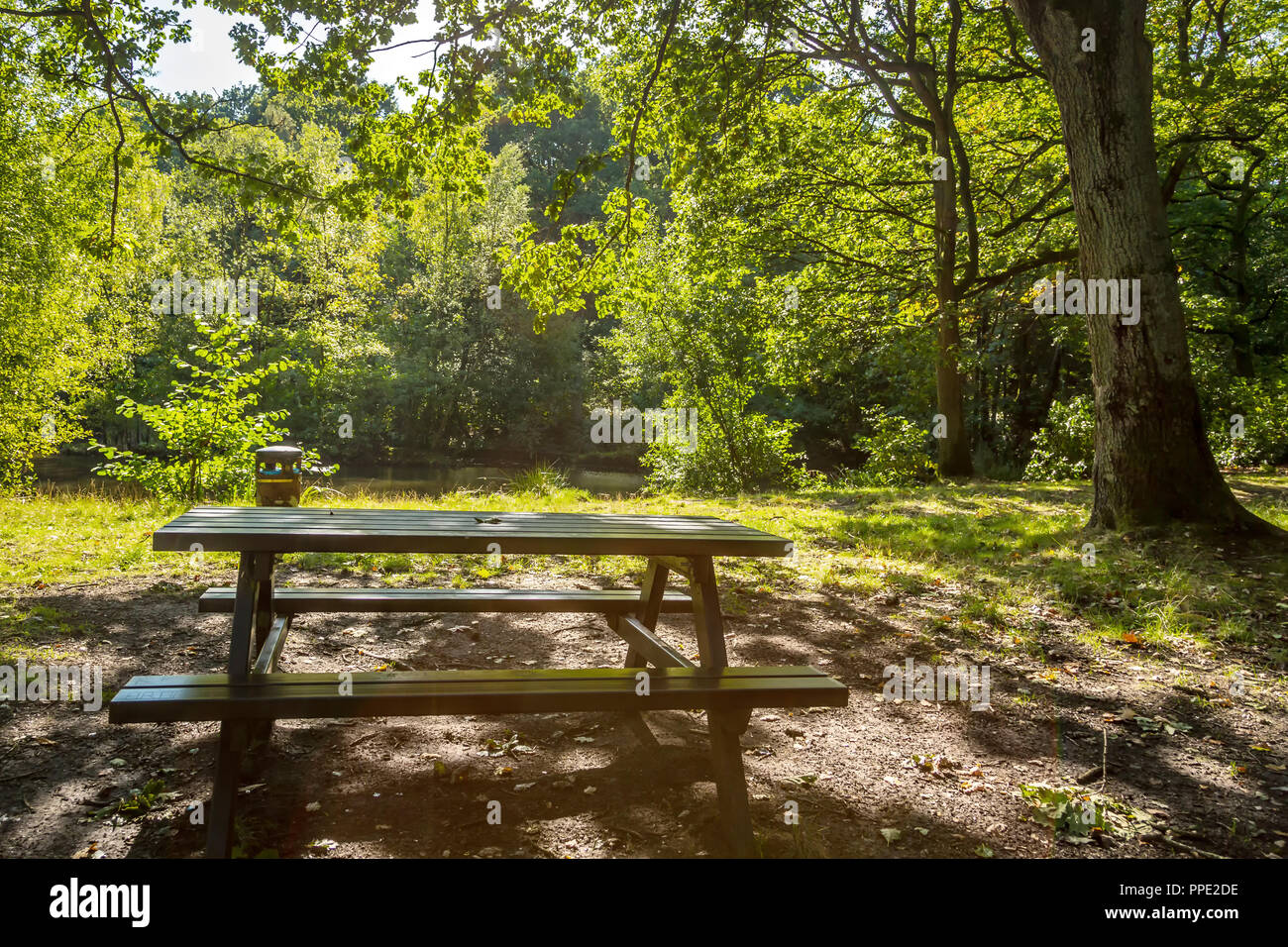 Southcrest Woods in Redditch, Worcestershire, England on a bright sunny ...