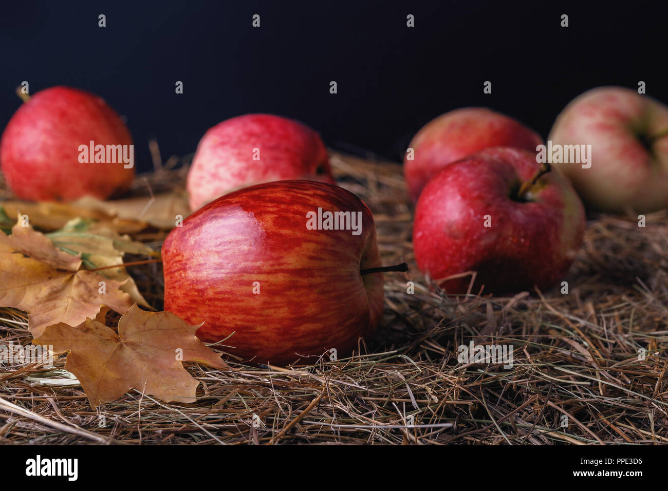 ripe juicy red apples lying on the hay as a natural background Stock ...
