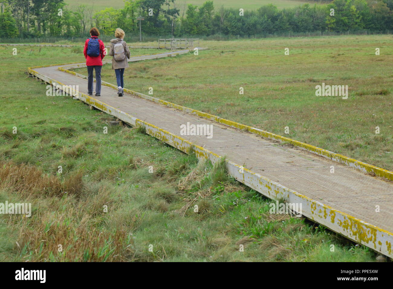 Footpath in nature reserve hi-res stock photography and images - Alamy