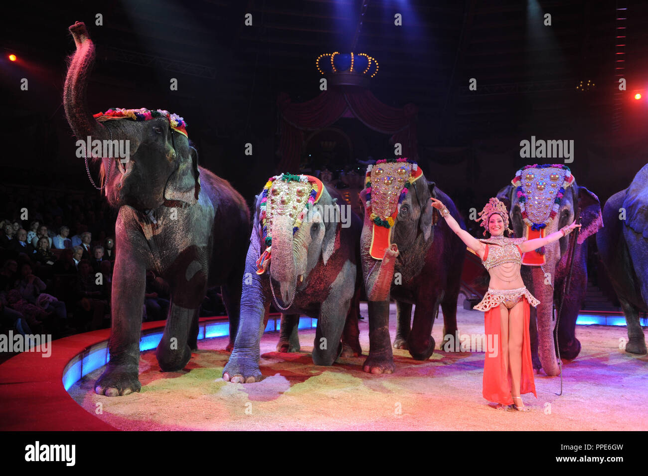 Elephant dressage at the Christmas premiere of the new program under ...
