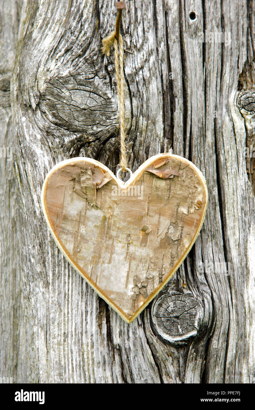 Heart on a the tree trunk as a sign of love Stock Photo - Alamy