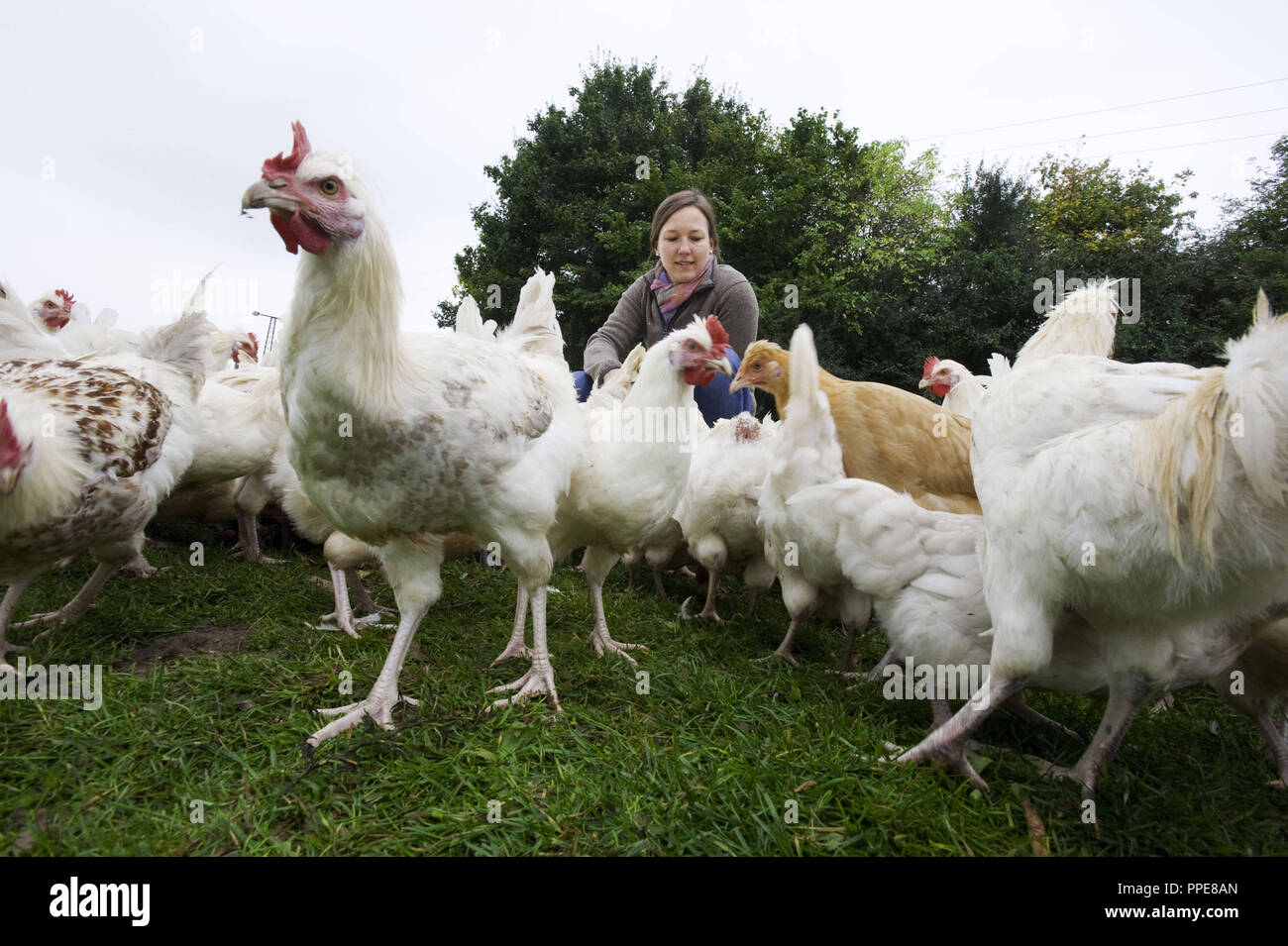 Agricultural engineer Florentine Rapp, director of the free-range ...