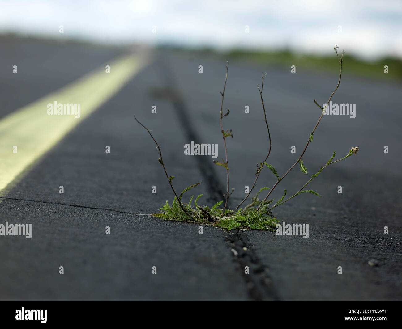 Grass Runway Stock Photos & Grass Runway Stock Images - Alamy
