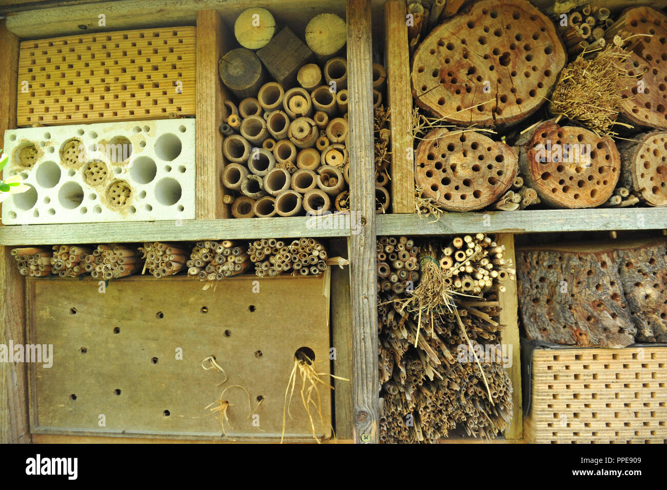 Insect house in a garden plot in the allotment "Land in Sonne" at ...