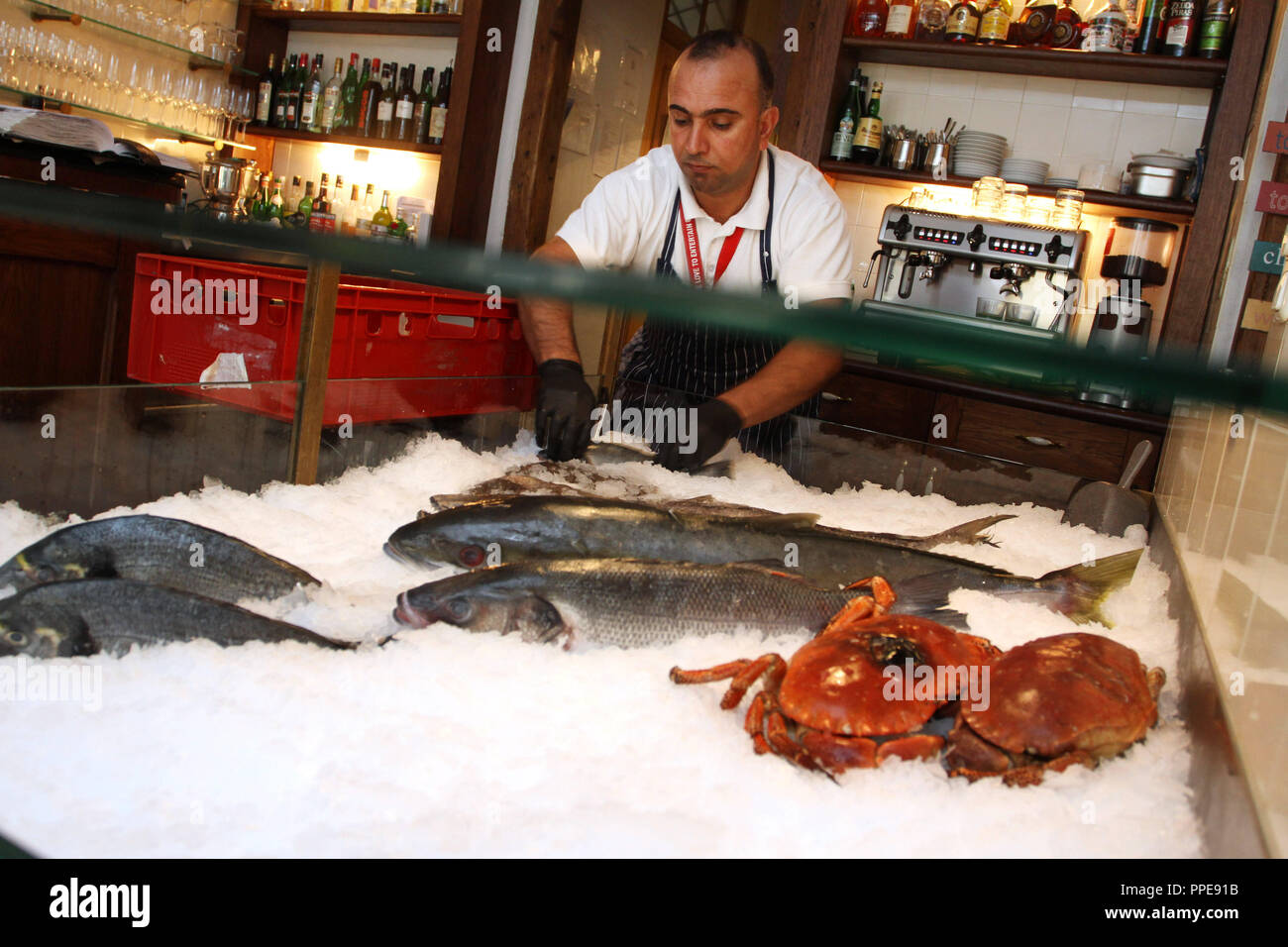 Showcase with iced fish in the seafood restaurant "Pescheria" in the ...