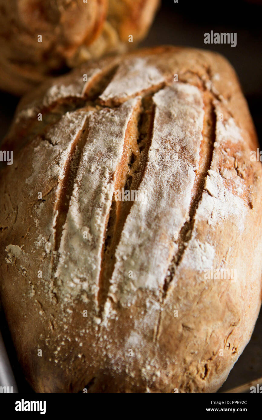 Corp cook hi-res stock photography and images - Alamy