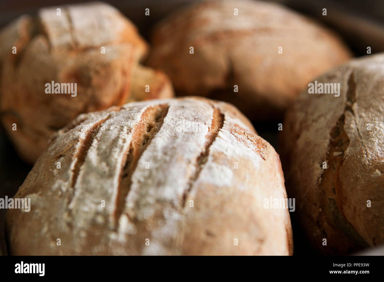 Cereal farm greece hi-res stock photography and images - Alamy