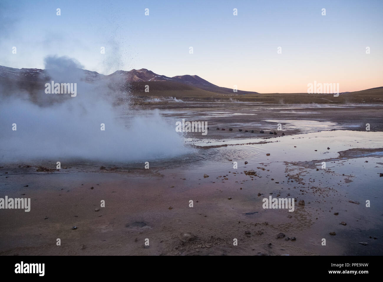 Atacama geysers (del Tatio) emitting steam in the early morning hours ...