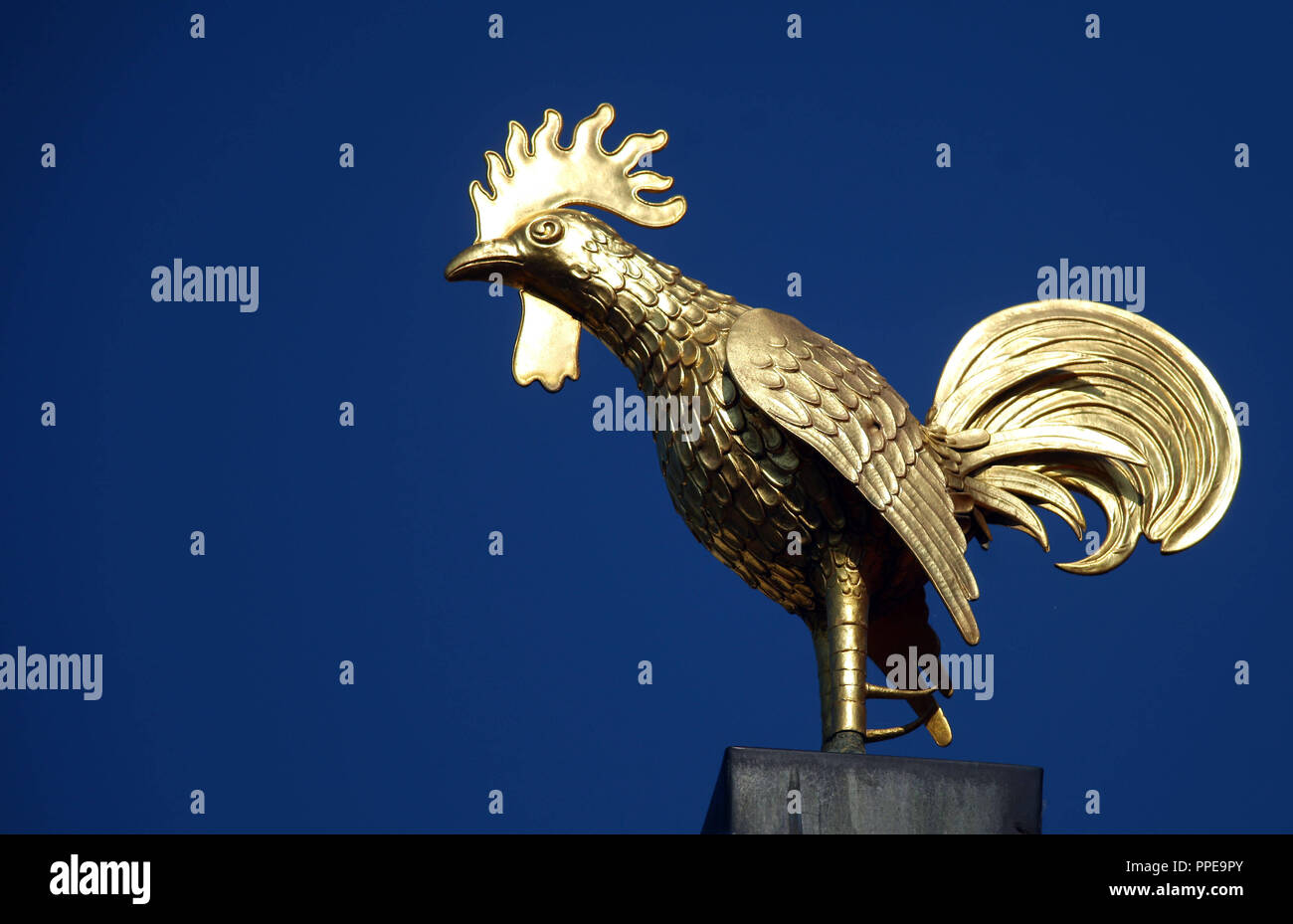 Gilded weathercock hi-res stock photography and images - Alamy